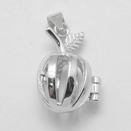 925 Sterling Silver Cage Pendants - Beadpark.com