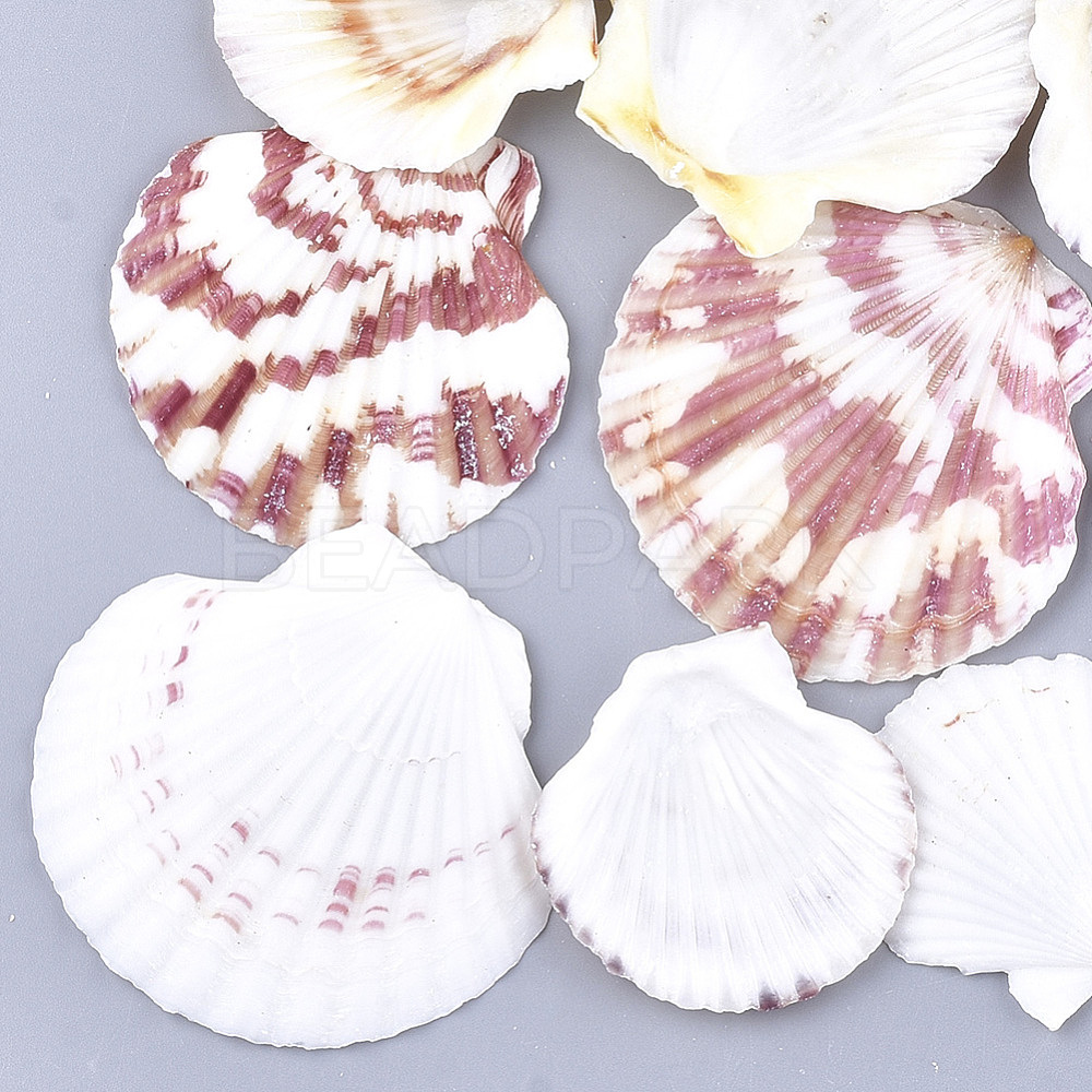 Natural Scallop Shell Beads - Beadpark.com